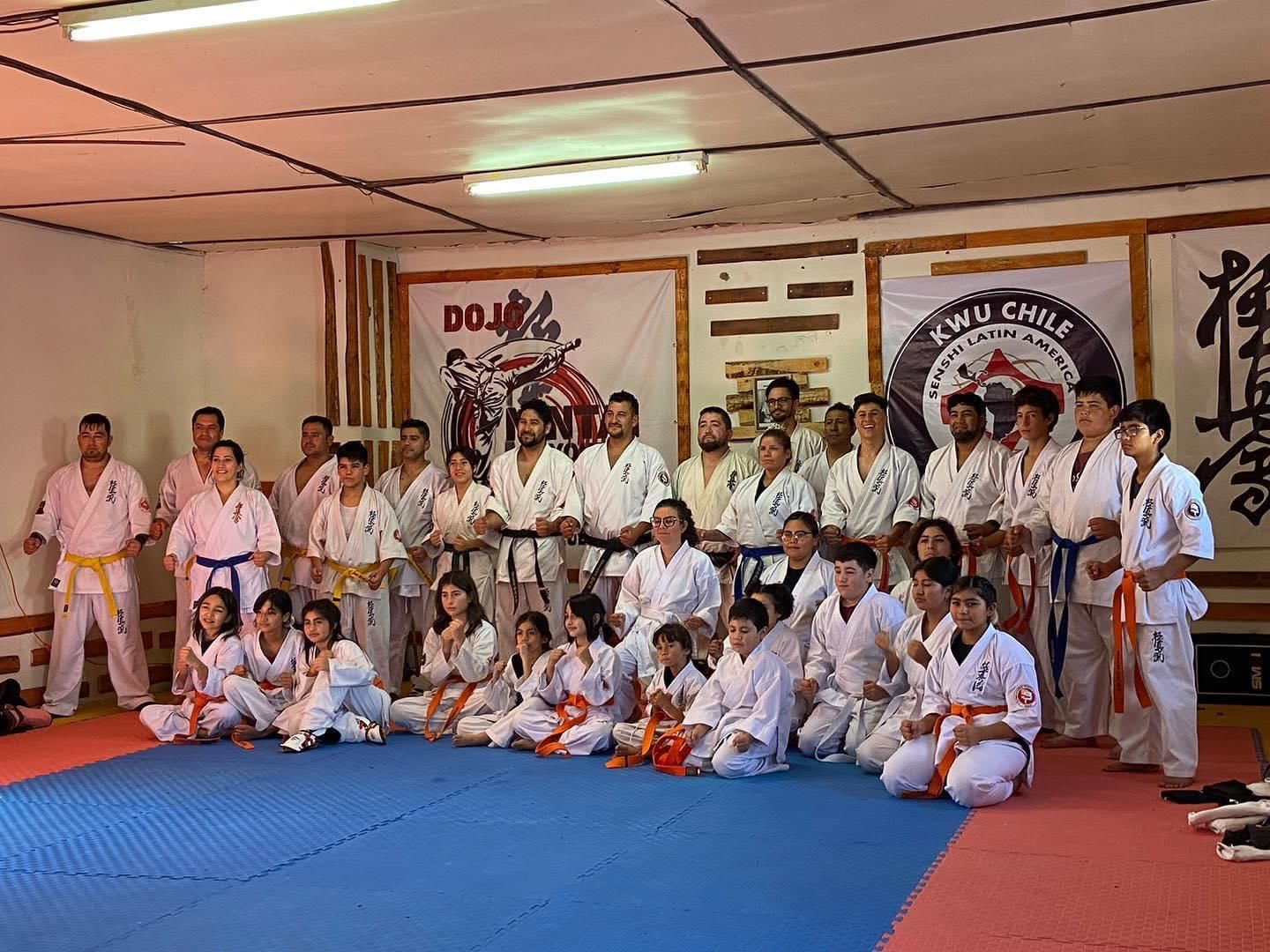Dojos Chile | FEDERACIÓN CHILENA E INTERNACIONAL DE KARATE DE CONTACTO