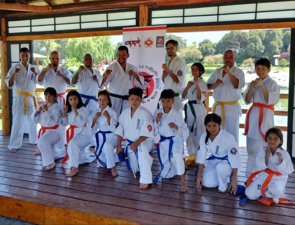 FEDERACIÓN CHILENA E INTERNACIONAL DE KARATE DE CONTACTO